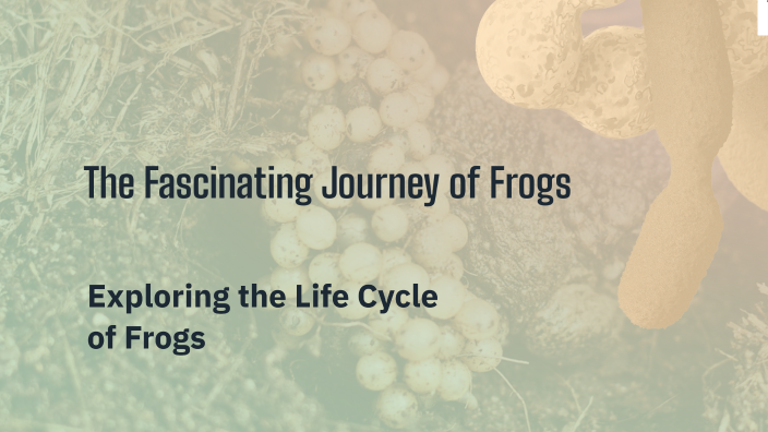 The Fascinating Journey of Frogs by Lana Priv on Prezi