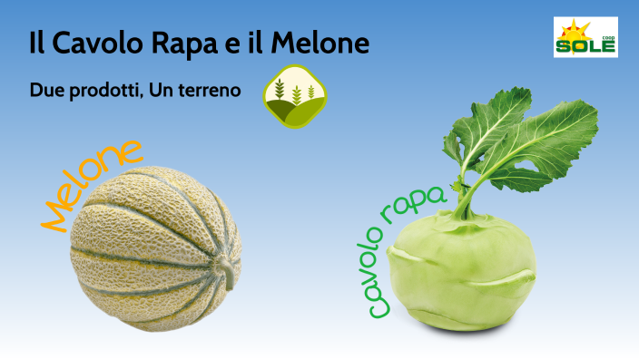 Output 3, Bio-Pio by Guido Lampitiello on Prezi