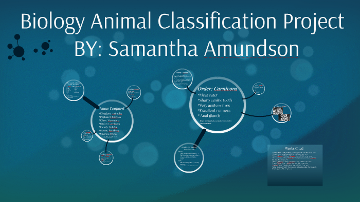 Biology Animal Classification Project by Samantha Amundson on Prezi