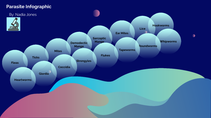 Parasite Infographic by Trinity Jones on Prezi