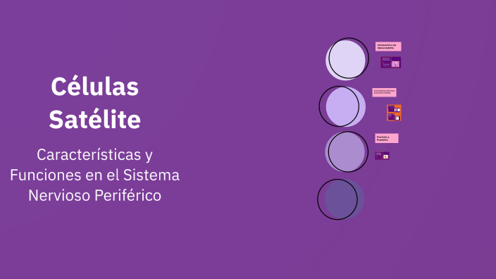 Células Satélite by catherine rodriguez on Prezi