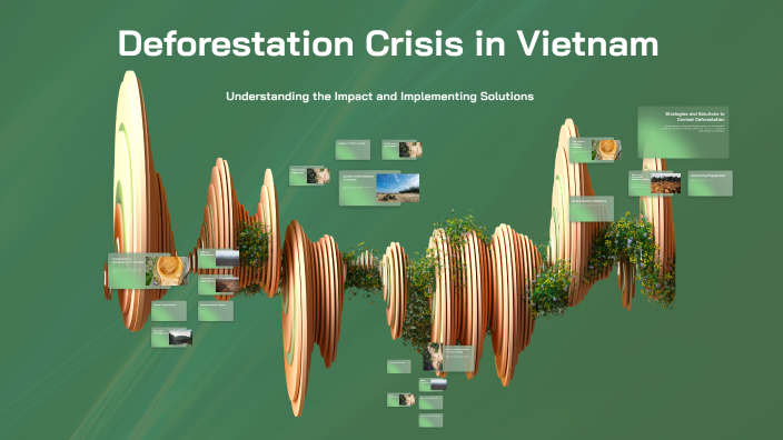 Deforestation Crisis in Vietnam by phong binh on Prezi