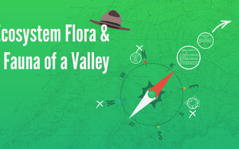 Ecosystem Flora & Fauna of a Valley by Marlene Brubaker on Prezi