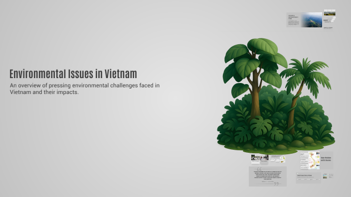 Environmental Issues in Vietnam by Khanh Mai on Prezi