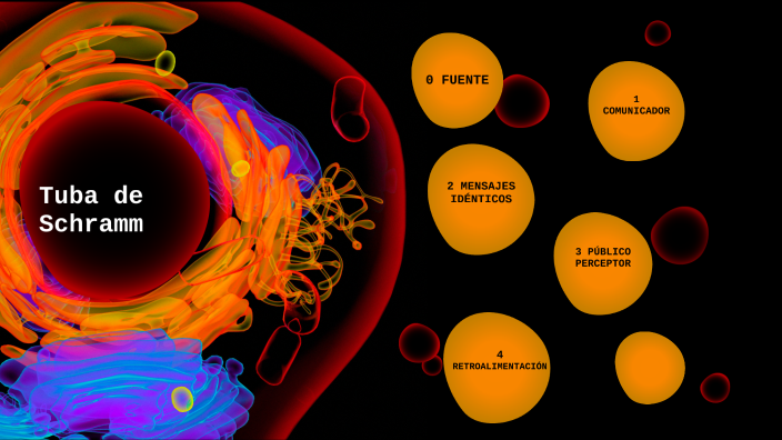 Tuba de Schramm by Majo Corrales on Prezi