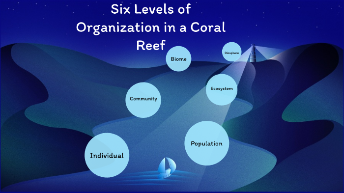 6 Levels of Organization in an ecosystem by Christina Lee on Prezi