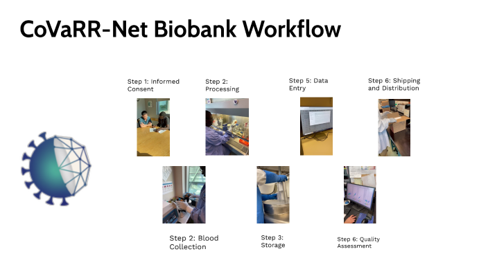 A Day in the Life of a Technician at the CoVaRR-Net Biobank by CoVaRR ...