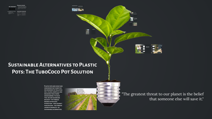 Sustainable Alternatives to Plastic Pots: The TuboCoco Pot Solution by ...