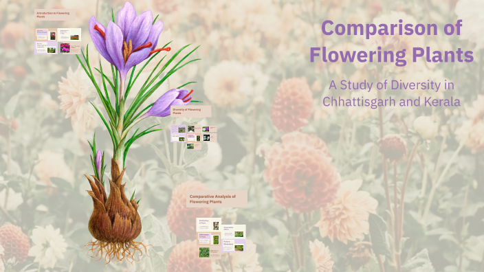 Comparison of Flowering Plants by purvi sonkar on Prezi