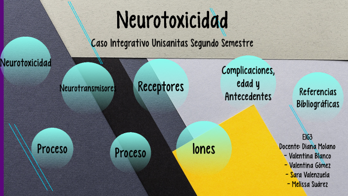 NEUROTOXICIDAD by Valentina on Prezi