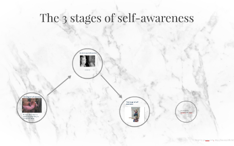 A. The 3 stages of self-awareness by Daniella Murakatete on Prezi