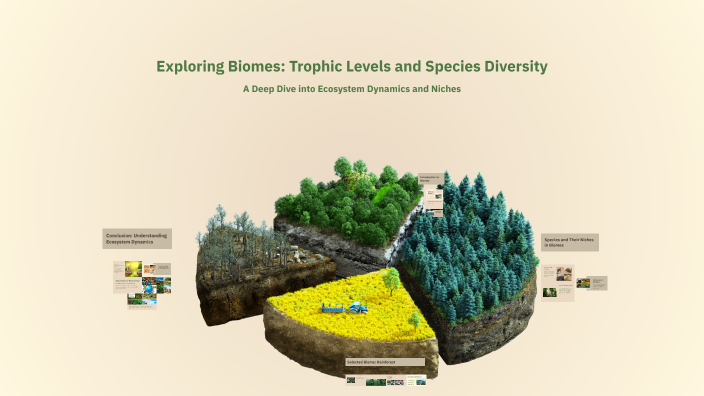 Exploring Biomes: Trophic Levels and Species Diversity by jaquari maple ...