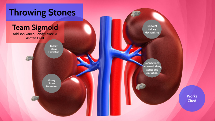 BIO 232: Throwing Stones Case Study by addison vance on Prezi