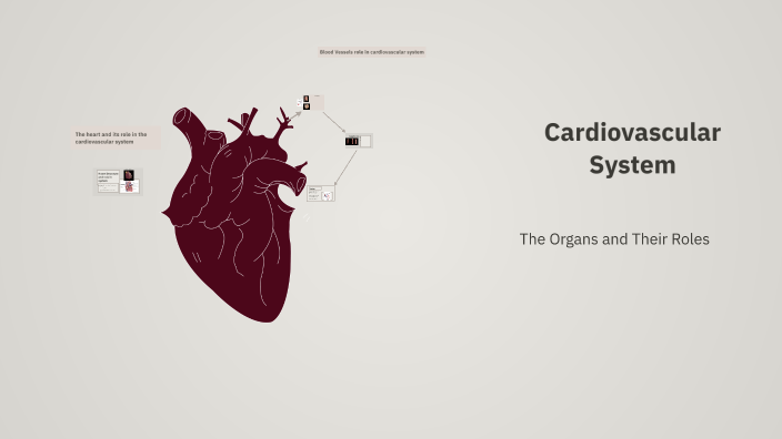 Anatomy of the Cardiovascular System by Adam Zanatta on Prezi