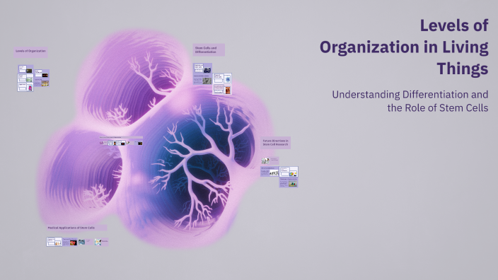 Levels of Organization in Living Things by Niles blzerd on Prezi