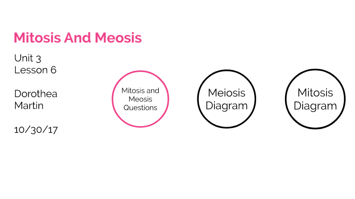 Mitosis And Meiosis Portfolio by Dorothea Martin on Prezi
