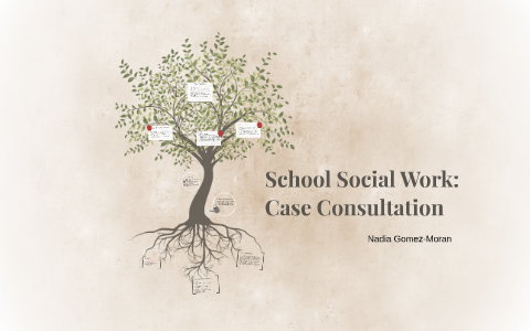 School Social Work: Case Consultation by on Prezi