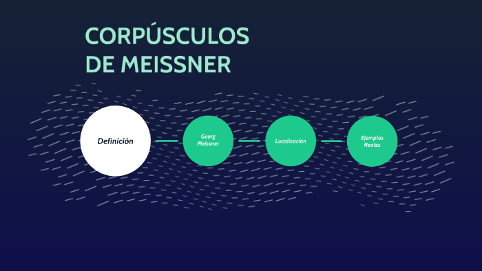 CORPÚSCULOS DE MEISSNER by John Franco on Prezi