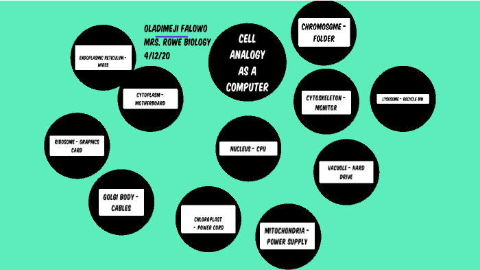 Cell Analogy as a Computer by OLADIMEJI FALOWO on Prezi