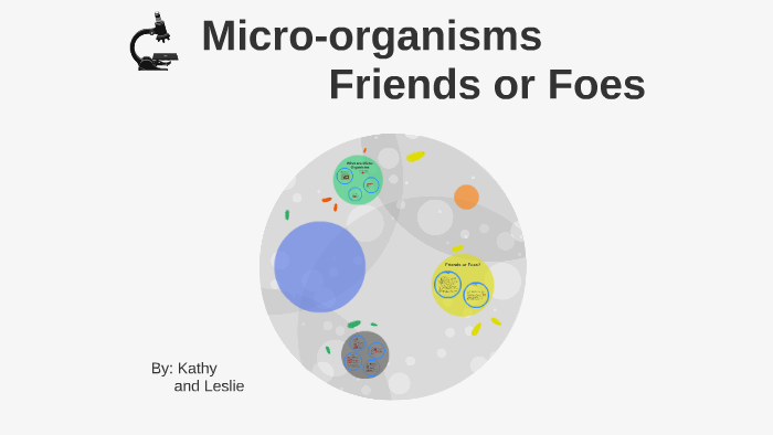 Macro-organisms by Katherine Fernandez on Prezi