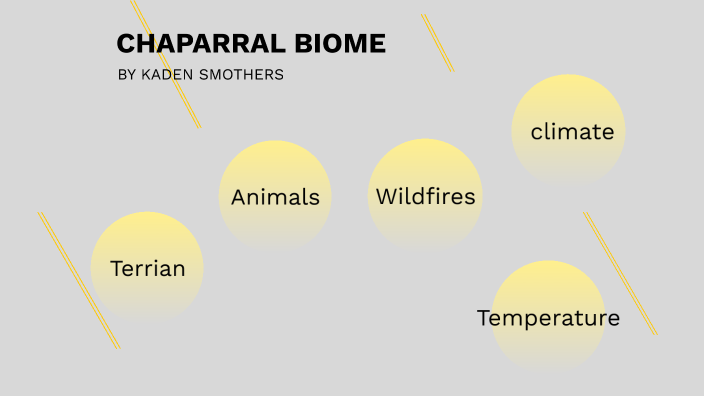 Chaparral Biome by Kaden Smothers on Prezi
