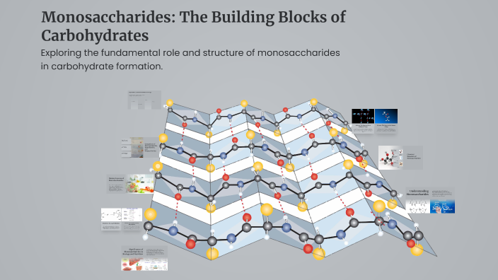 Monosaccharides: The Building Blocks of Carbohydrates by jordana leiva ...