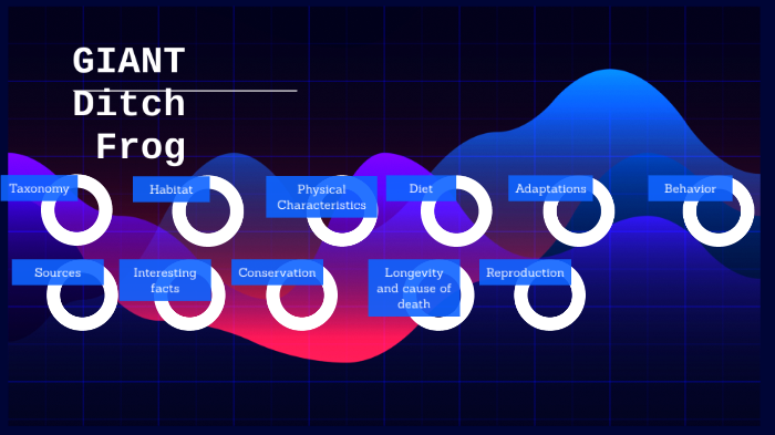 Giant ditch frog by Braxton Vargas on Prezi