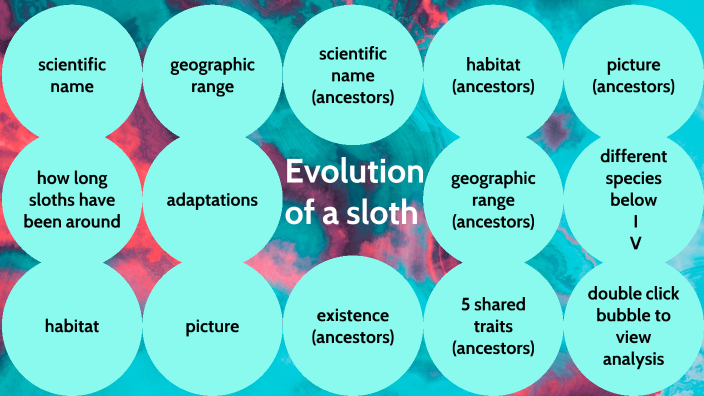 evolution of a sloth by Alex Slavin on Prezi