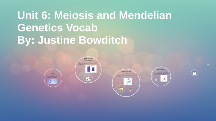 Unit 6: Meiosis and Mendelian Genetics Vocab by on Prezi