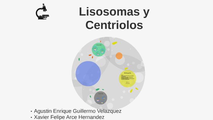 Lisosomas y Centriolos by agustin enrique guillermo velazquez on Prezi