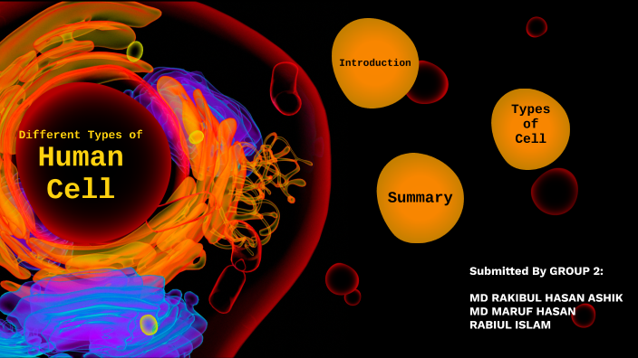 Different Types of Human Cell by Md. Rakibul Hasan Ashik 2021132649 on ...
