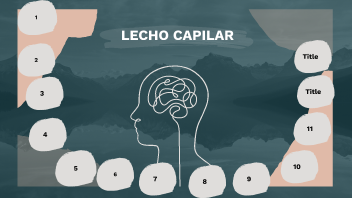 LECHO CAPILAR by Julia Contreras on Prezi
