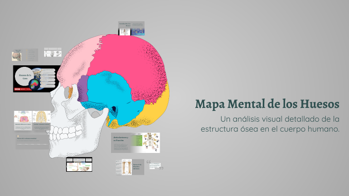 Mapa Mental de los Huesos by Yanely Castañeda on Prezi