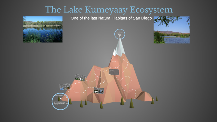 The Lake Kumeyaay Ecosystem by Ismail Agsalud on Prezi