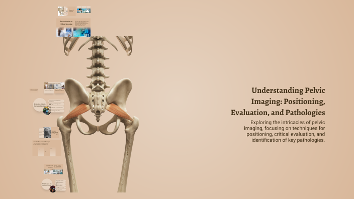 Understanding Pelvic Imaging: Positioning, Evaluation, and Pathologies ...