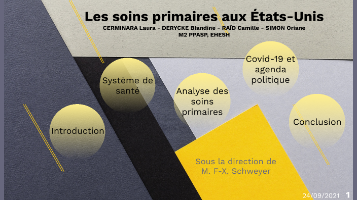 Les soins primaires aux États-Unis, révélateurs d’inégalités by laura ...