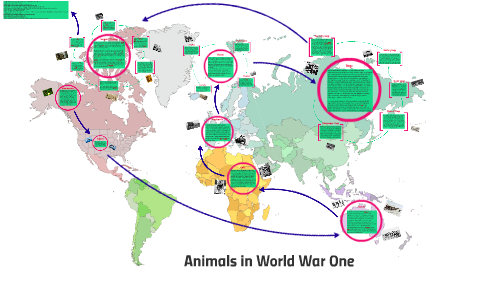 Animals in World War One by Rhiannon Ford on Prezi
