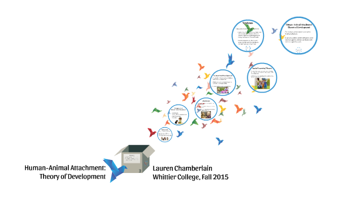 Human-Animal Attachment: Theory of Development by Lauren Chamberlain on ...
