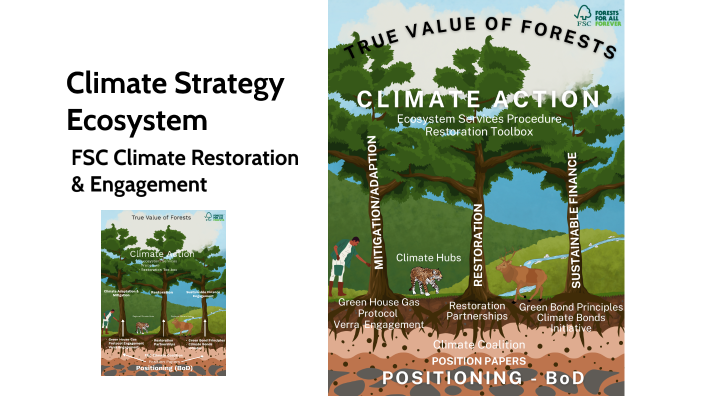 Climate Strategy Ecosystem by Theresa Keith on Prezi