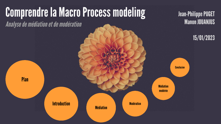 Macro Process by manon jouanjus on Prezi