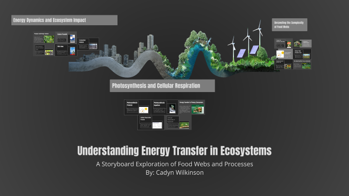 Understanding Energy Transfer in Ecosystems by Cadyn Wilkinson on Prezi