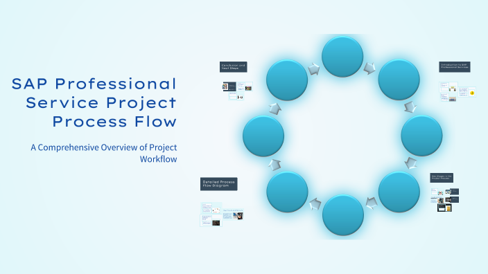 SAP Professional Service Project Process Flow by ahmed nagy on Prezi