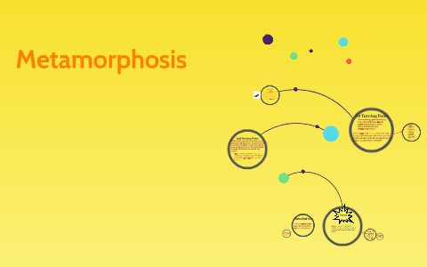Metamophisis by Sheridan Naber on Prezi