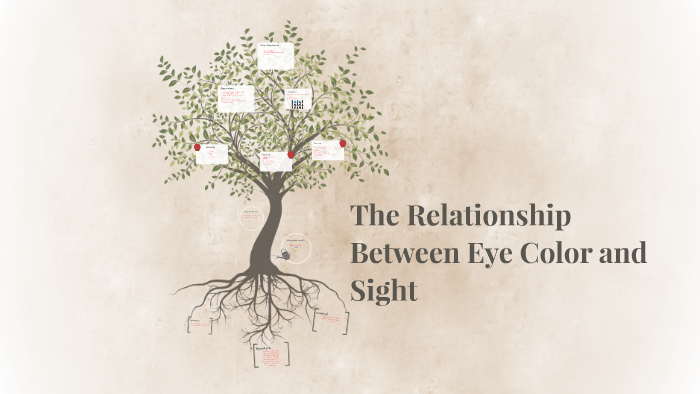 The Relationship Between Eye Color and Sight by on Prezi