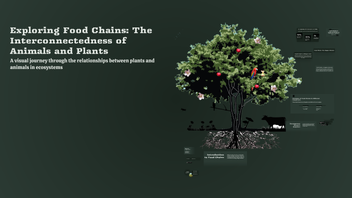 Exploring Food Chains: The Interconnectedness of Animals and Plants by ...