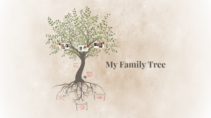 My Family Tree by Shelby Mailman on Prezi