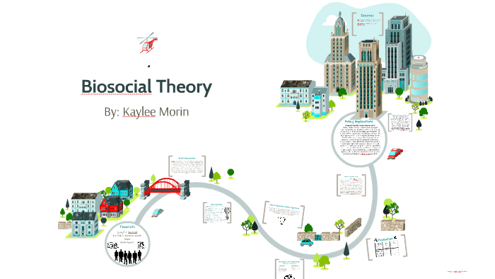 Biosocial Theory by Kaylee Morin on Prezi