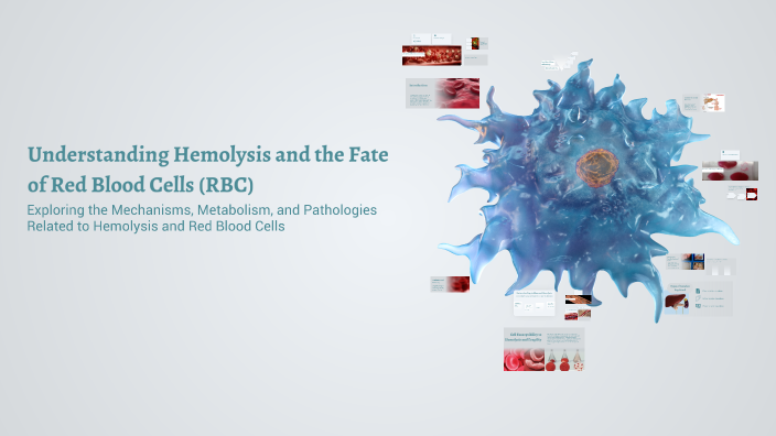 Understanding Hemolysis and the Fate of Red Blood Cells (RBC) by Khan ...