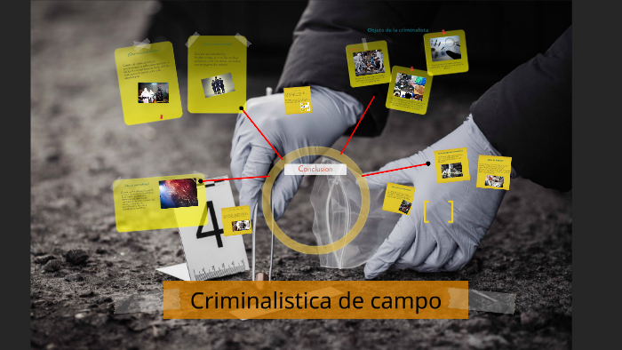 Criminalistica De Campo Mind Map - vrogue.co Criminalistica De Campo Mind Map - vrogue.co