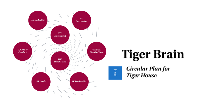 tiger brain by jess li on Prezi